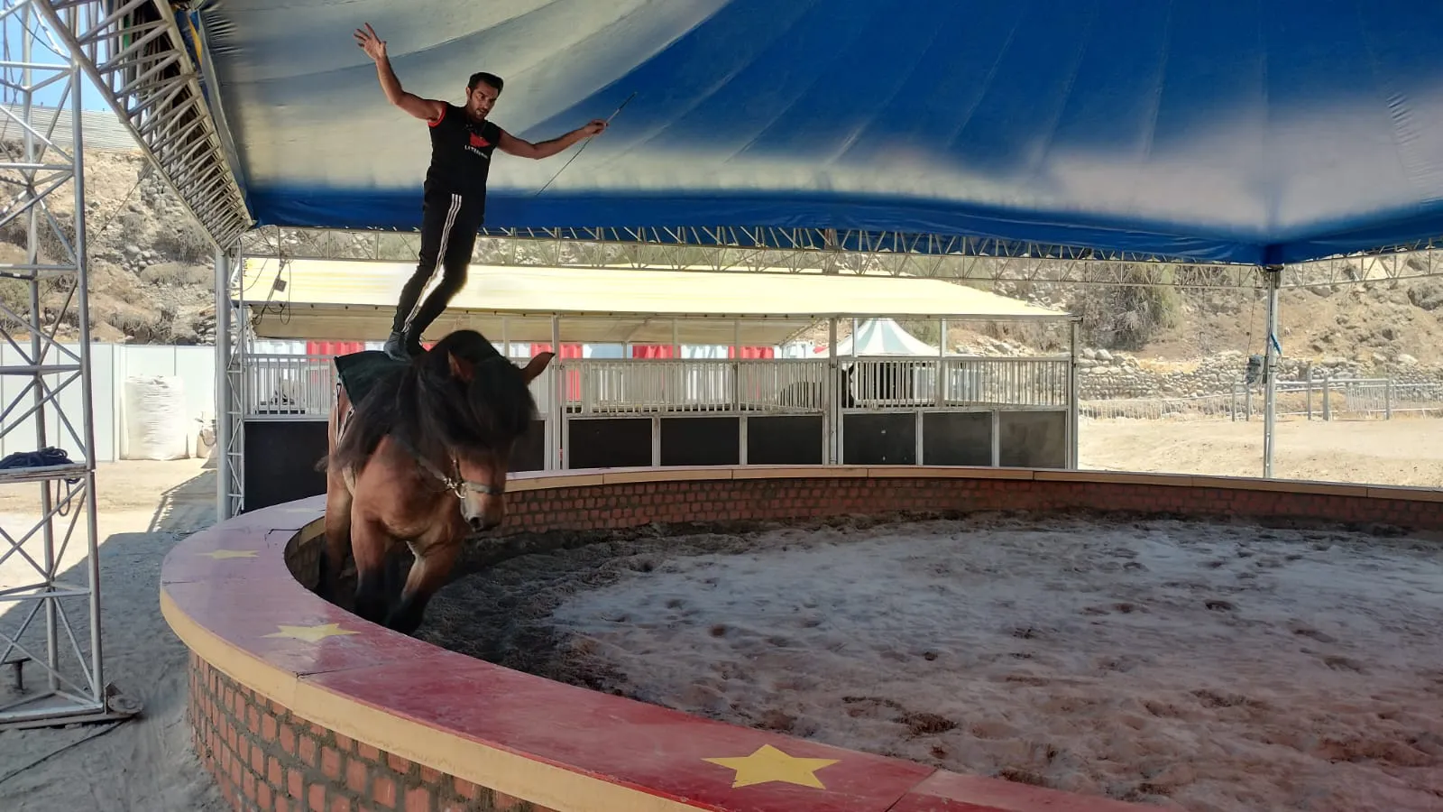 La Tarumba regresa a Arequipa con emocionante espectáculo ecuestre